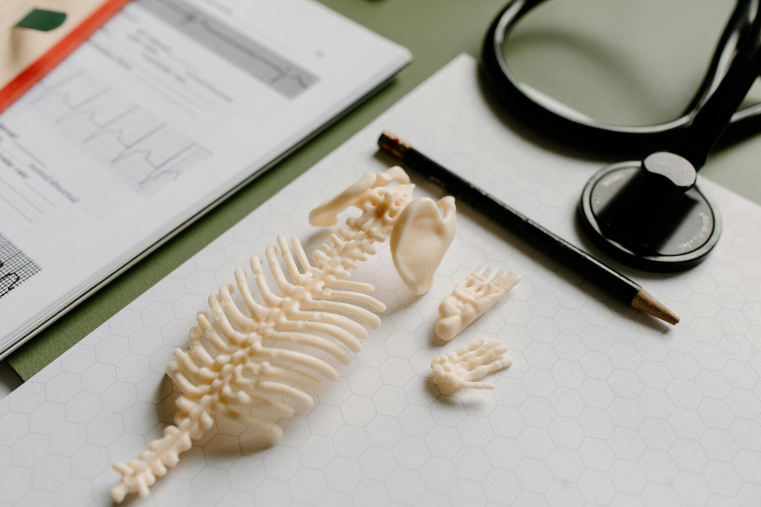 Bone Density Test in Hollywood, FL | Total MRI